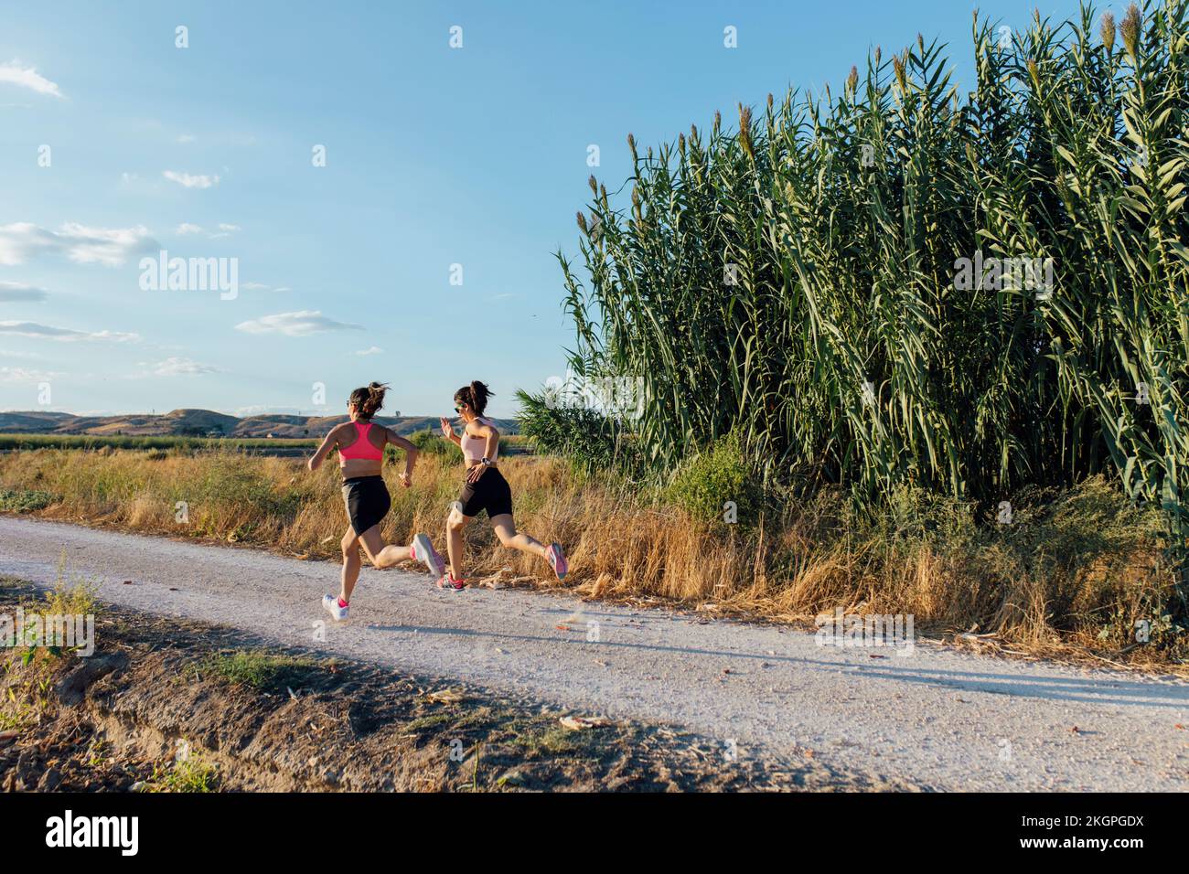 Trail trainer with woman running on footpath Stock Photo - Alamy