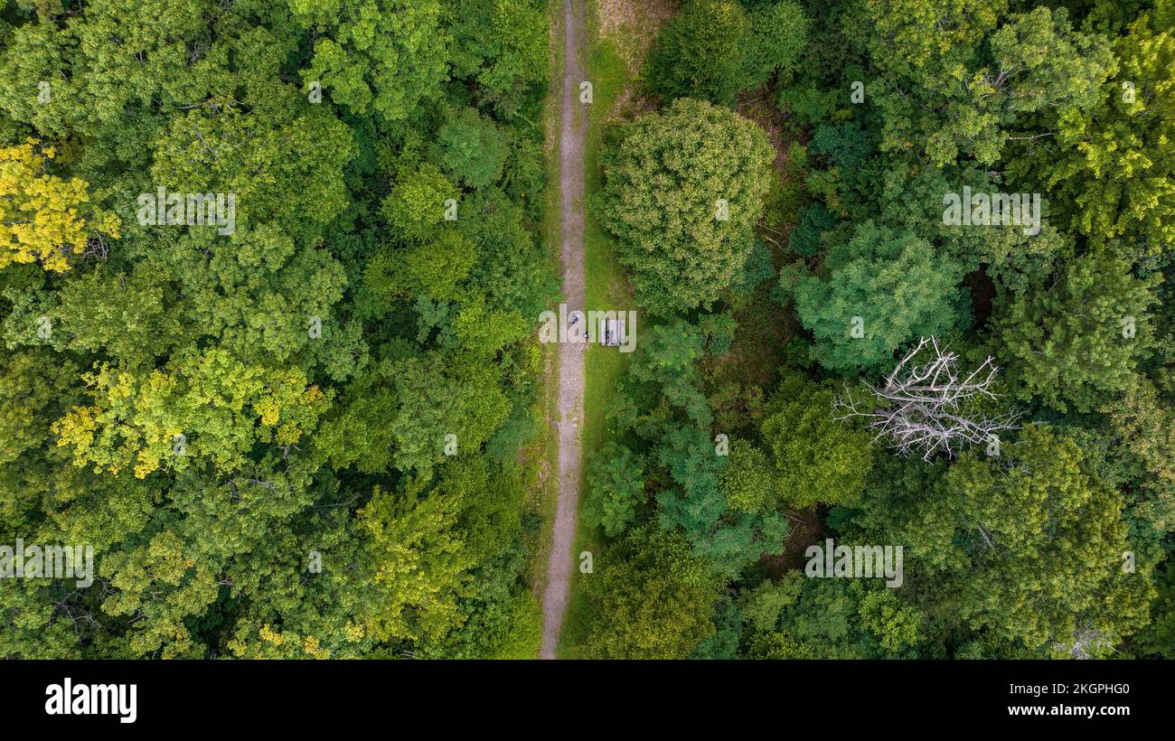 An aerial view of the trail and thick forest in Fork Run Recreation ...