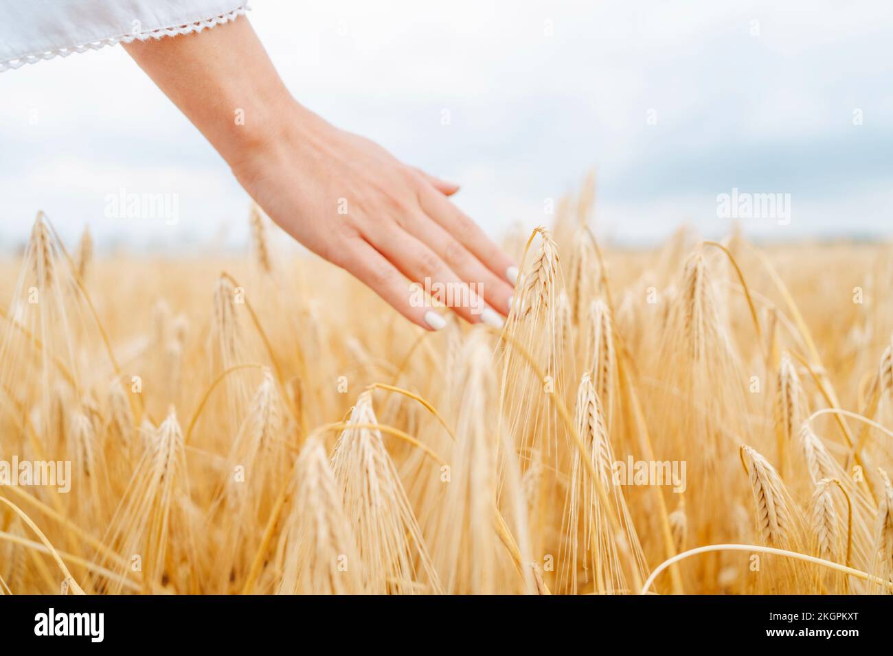 Crop in hand hi-res stock photography and images - Alamy