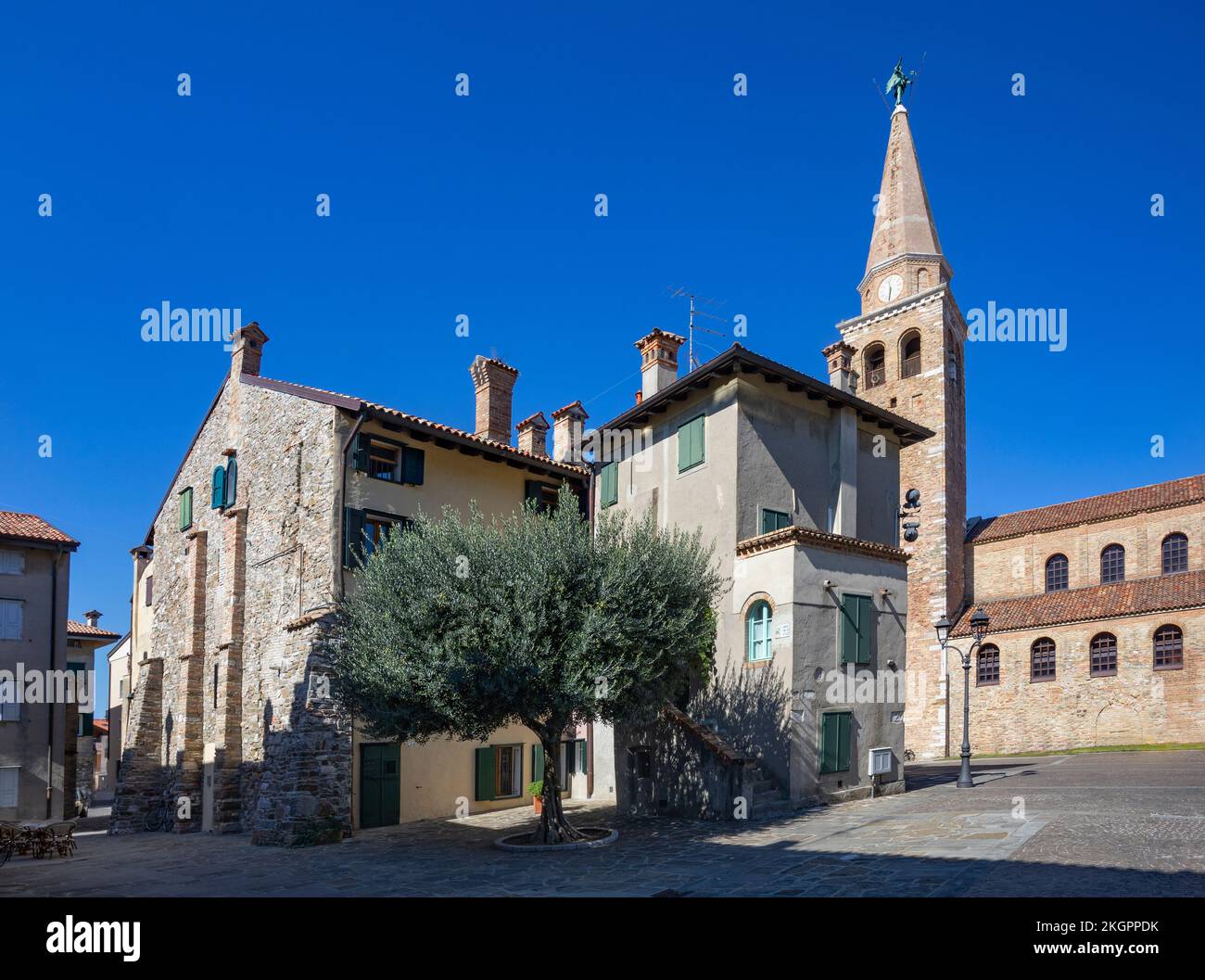 Italy, Friuli Venezia Giulia, Grado, Olive tree and old houses in front ...