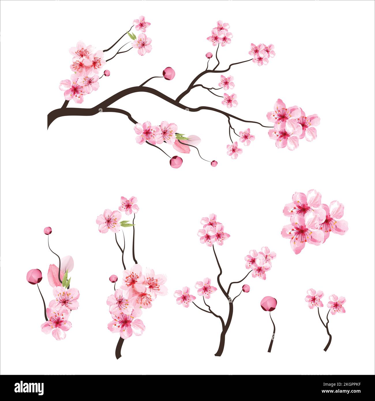 Cherry Blossom Branch Clip Art Free Vectors | Various Cherry Blossom