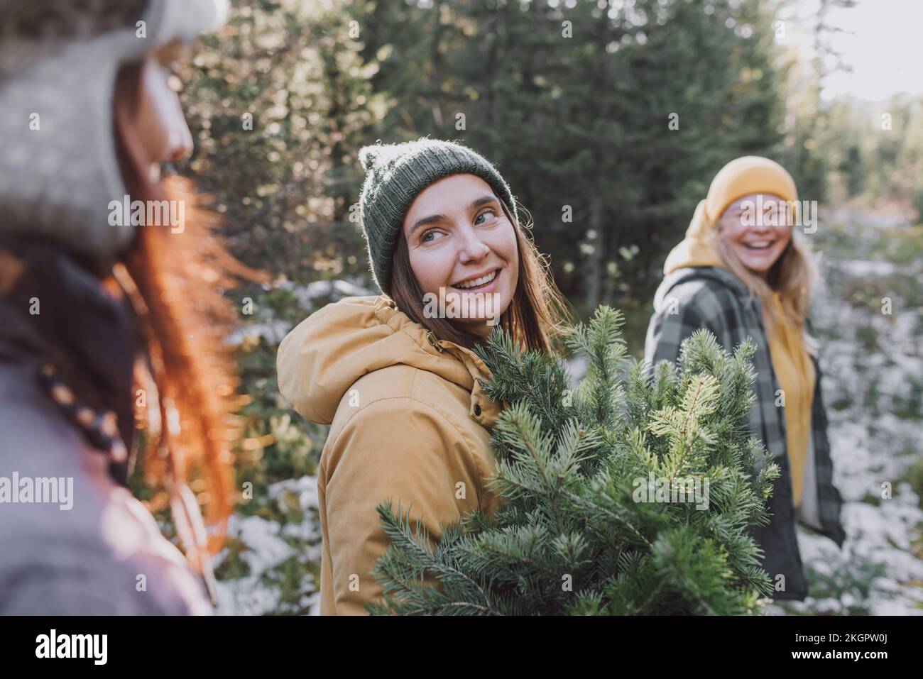 Smiling friends spruce tree hi-res stock photography and images - Alamy