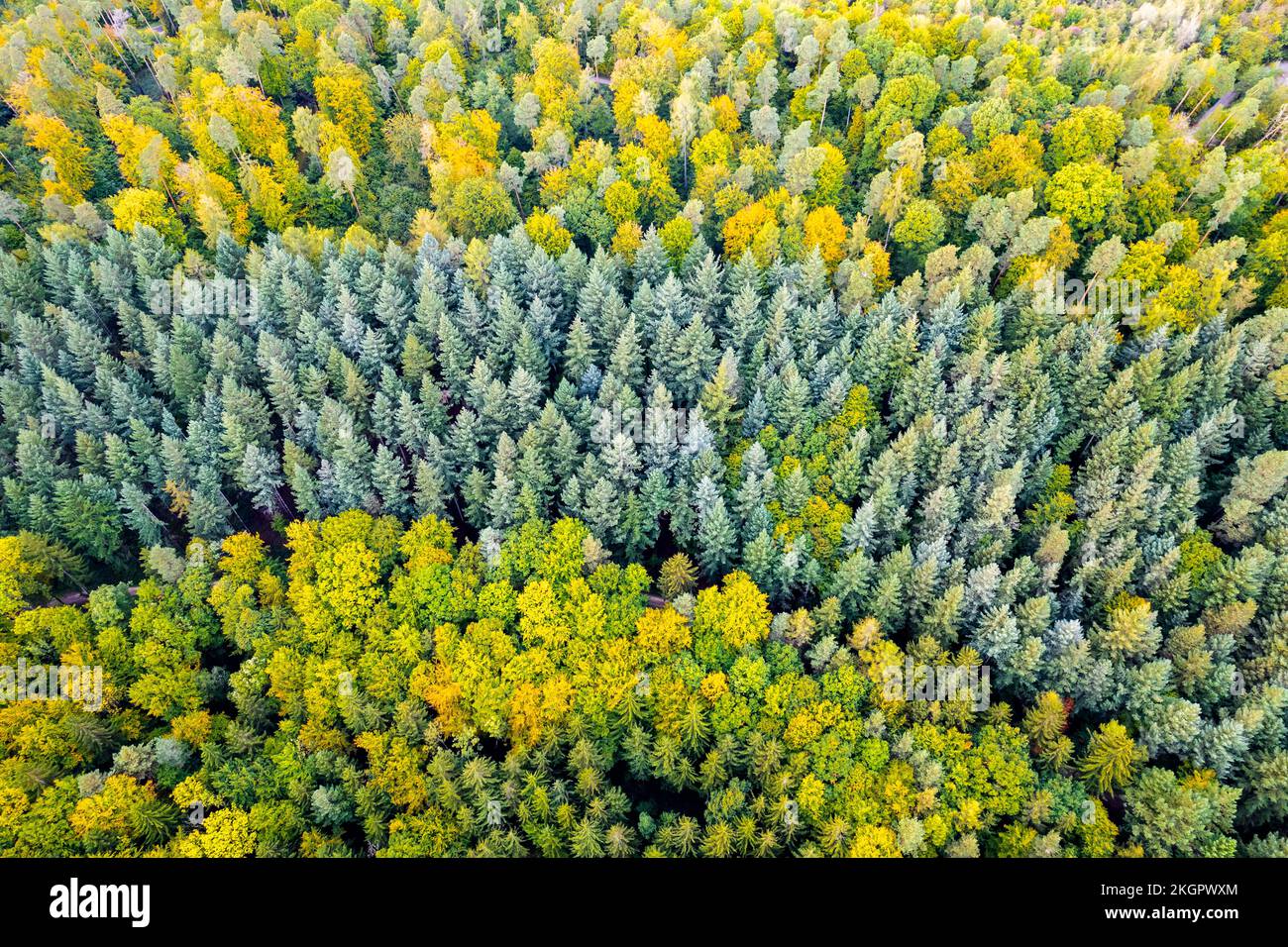 Germany, Baden-Wurttemberg, Drone view of Swabian-Franconian Forest in ...