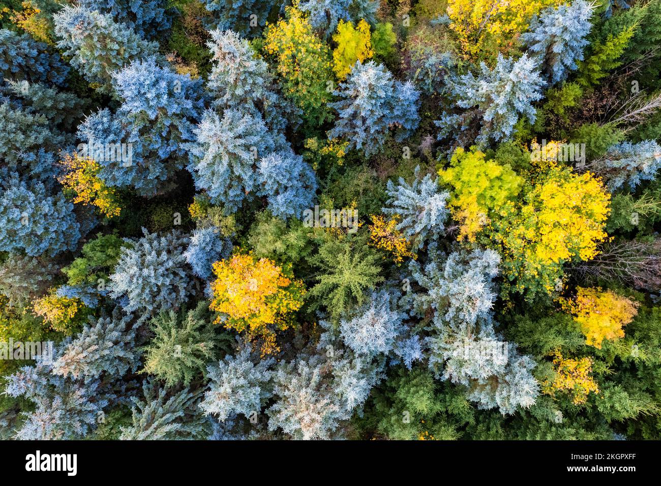 Overhead drone view lush hi-res stock photography and images - Alamy