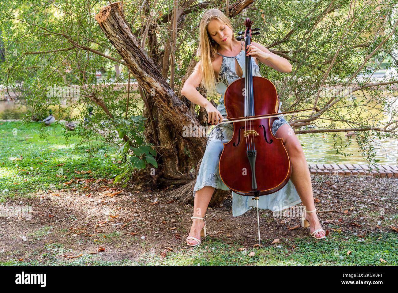 Woman playing cello in front of tree at park Stock Photo - Alamy