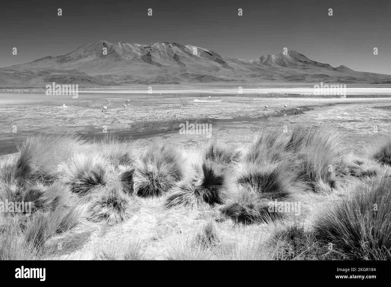 Northern hedionda lagoon hi-res stock photography and images - Alamy