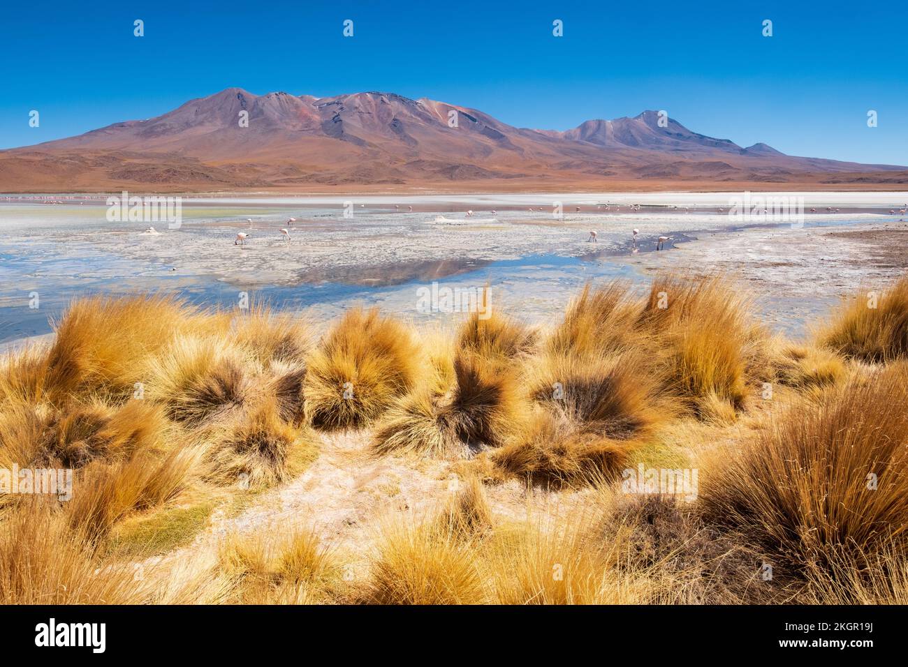 Northern hedionda lagoon hi-res stock photography and images - Alamy