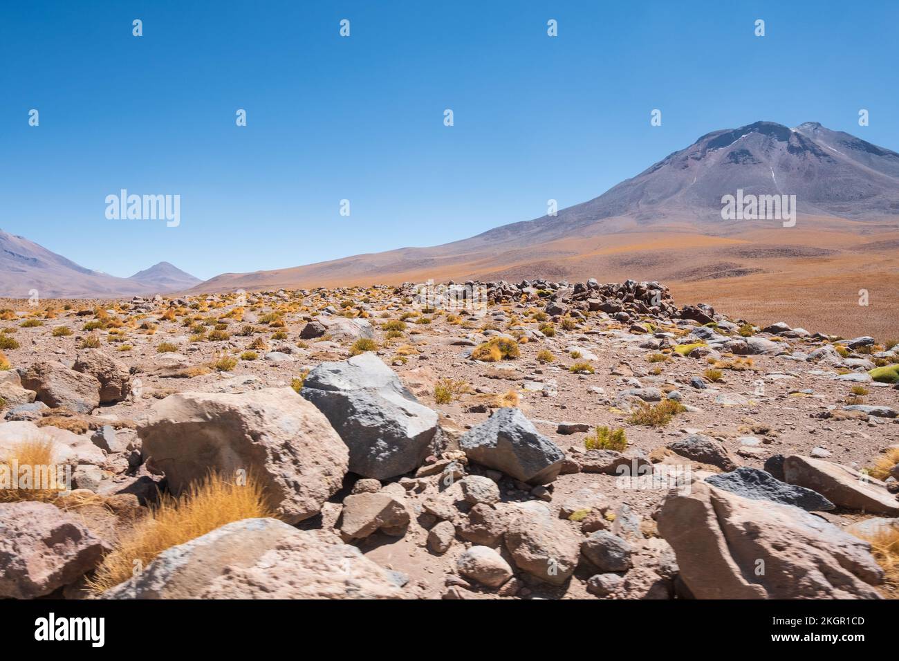 Bolivian High Plains landscape, Nor Lipez Province, Potosi Department ...