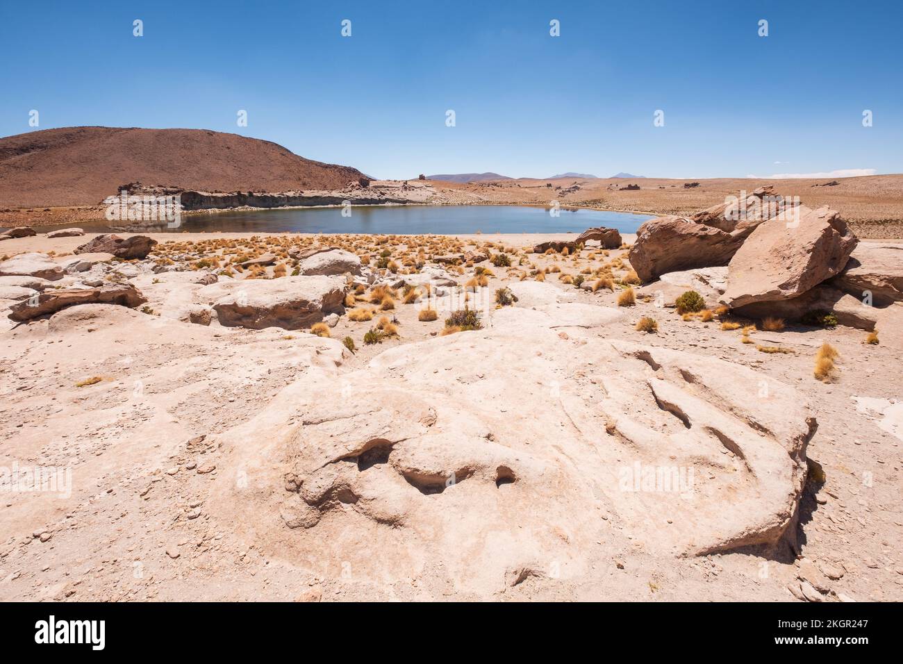 Laguna Negra (Black Lagoon or Lake) in Nor Lipez Province, Potosi ...