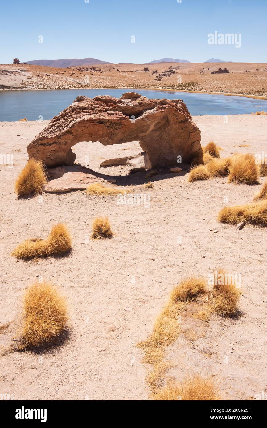 Laguna Negra (Black Lagoon or Lake) in Nor Lipez Province, Potosi ...