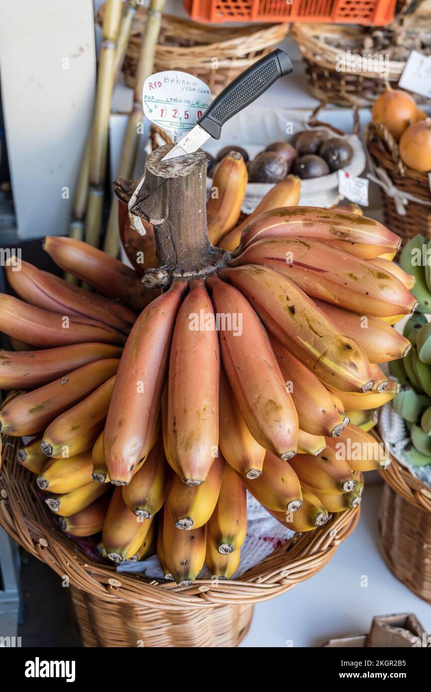 cluster of red bananas on sale at covered market, shot in bright fall ...