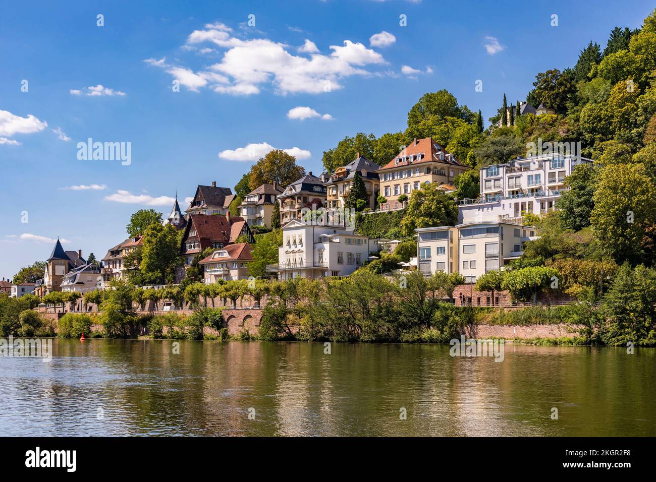 Germany, Baden-Wurttemberg, Heidelberg, Riverside villas in sunshine ...