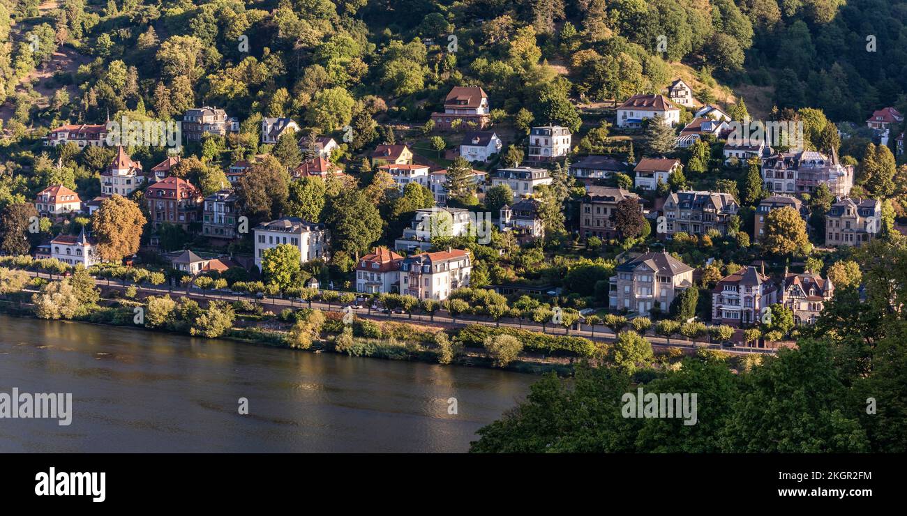 Germany, Baden-Wurttemberg, Heidelberg, Riverside villas in sunshine ...