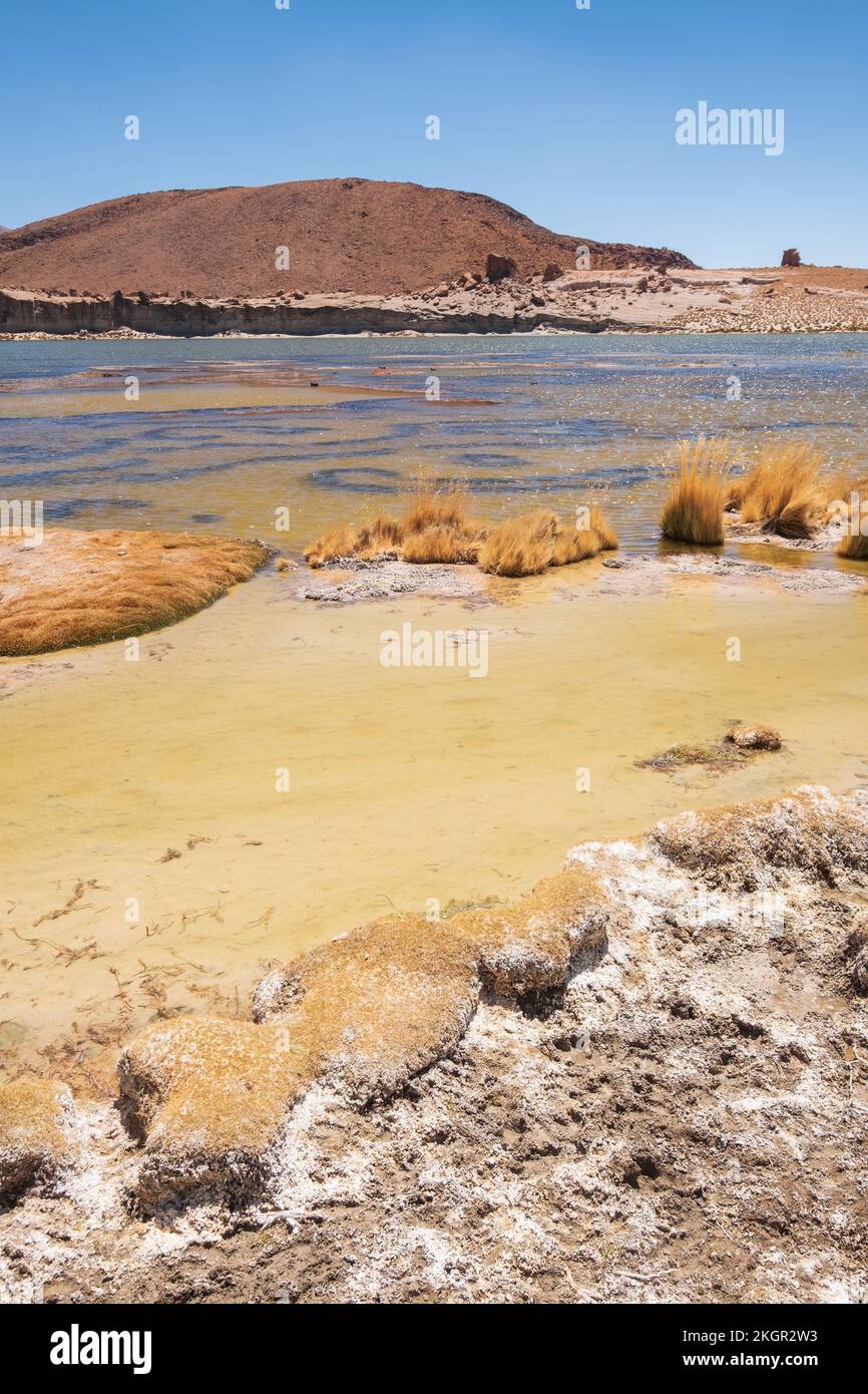 Laguna Negra (Black Lagoon or Lake) in Nor Lipez Province, Potosi ...