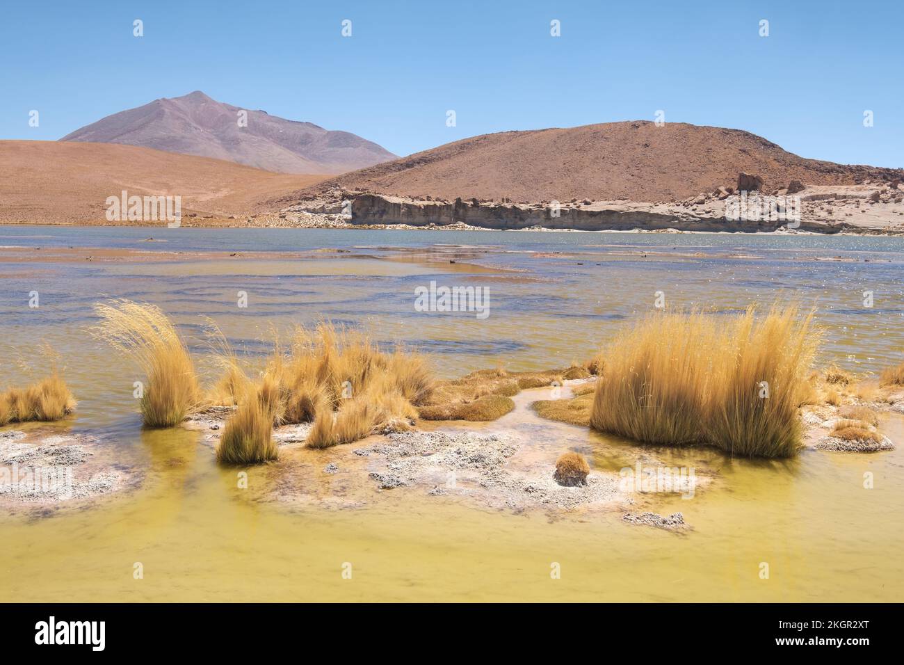 Laguna Negra (Black Lagoon or Lake) in Nor Lipez Province, Potosi ...