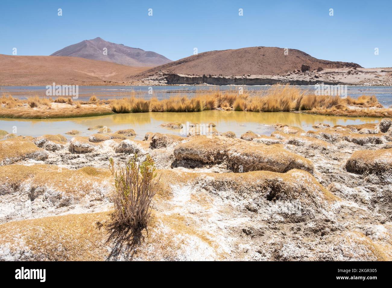 Laguna Negra (Black Lagoon or Lake) in Nor Lipez Province, Potosi ...