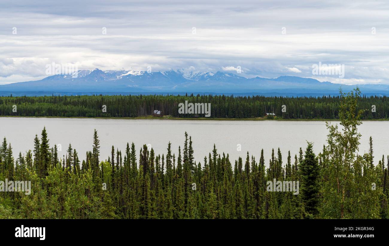 A scenic shot of the Copper River surrounded by vegetation and the ...
