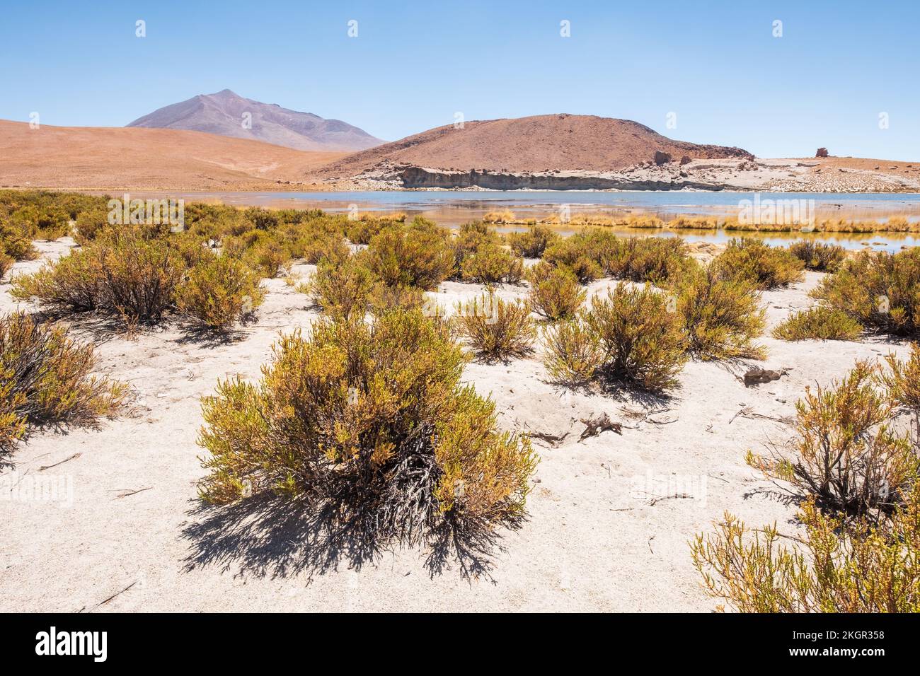Laguna Negra (Black Lagoon or Lake) in Nor Lipez Province, Potosi ...