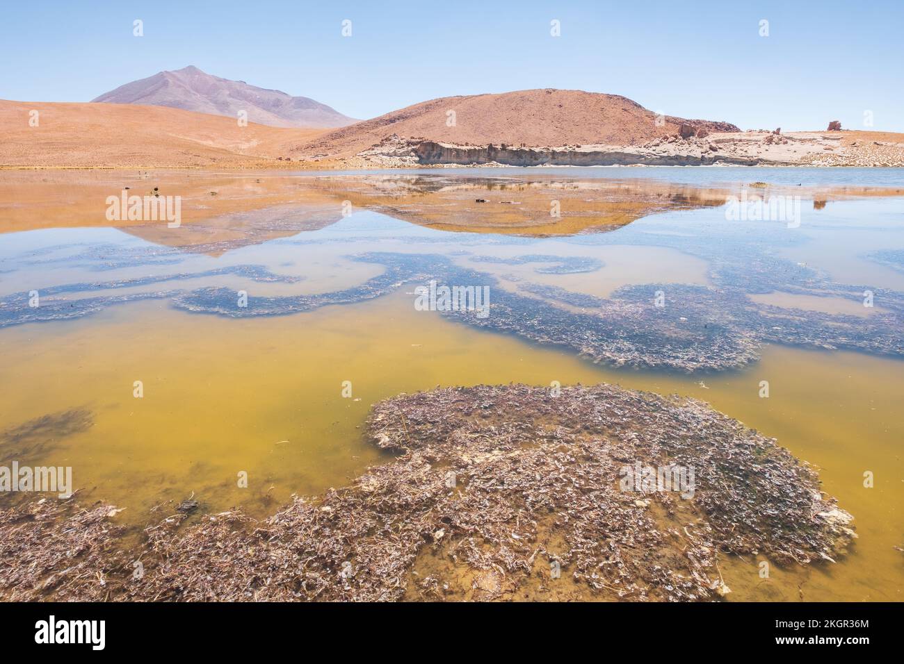 Laguna Negra (Black Lagoon or Lake) in Nor Lipez Province, Potosi ...