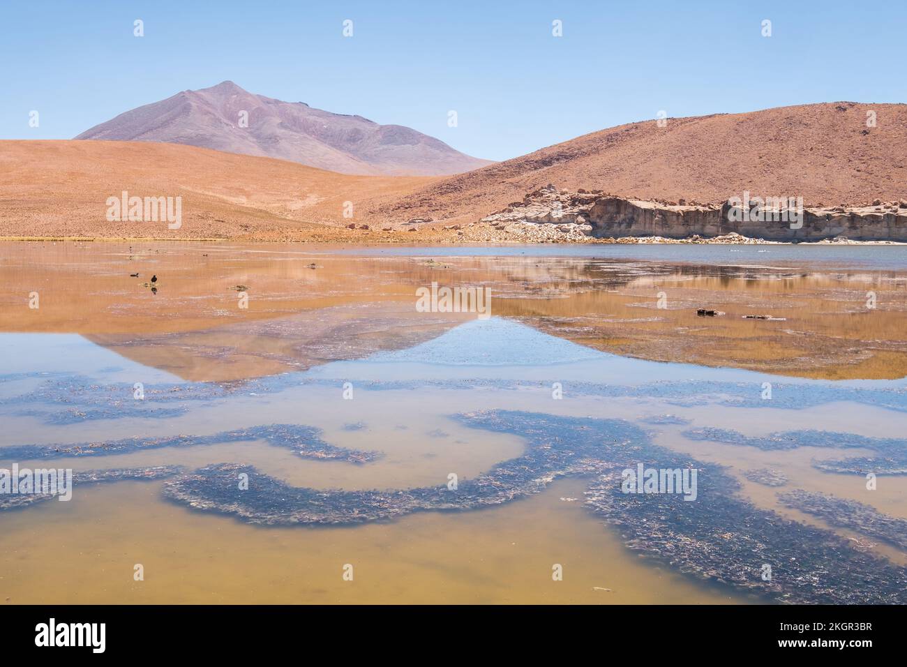 Laguna Negra (Black Lagoon or Lake) in Nor Lipez Province, Potosi ...