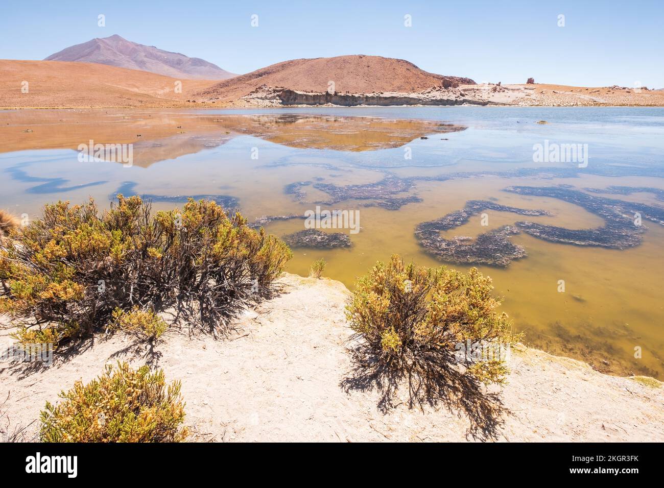 Laguna Negra (Black Lagoon or Lake) in Nor Lipez Province, Potosi ...