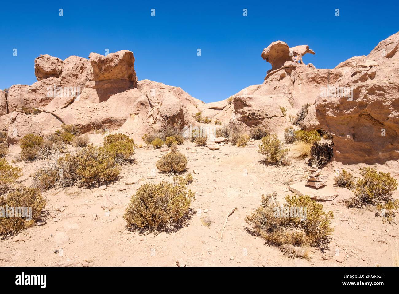 Cóndor sin cabeza (Headless Condor) at Valle de Rocas (Valley of Rocks ...