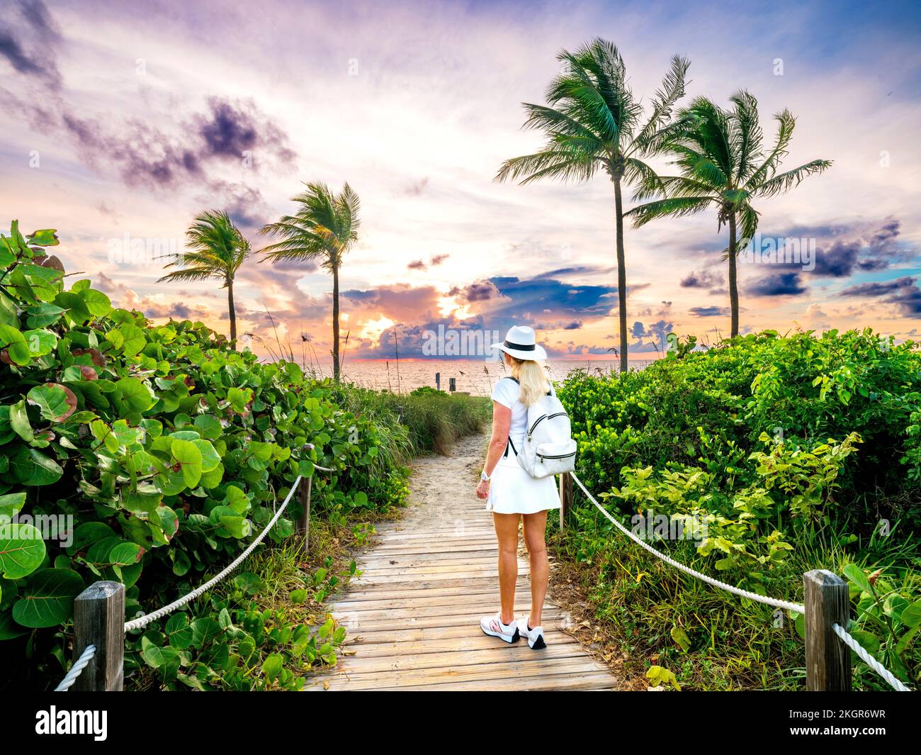 Palm_trees hi-res stock photography and images - Alamy