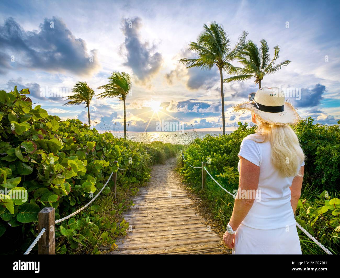 Wooden path beach florida hi-res stock photography and images - Alamy