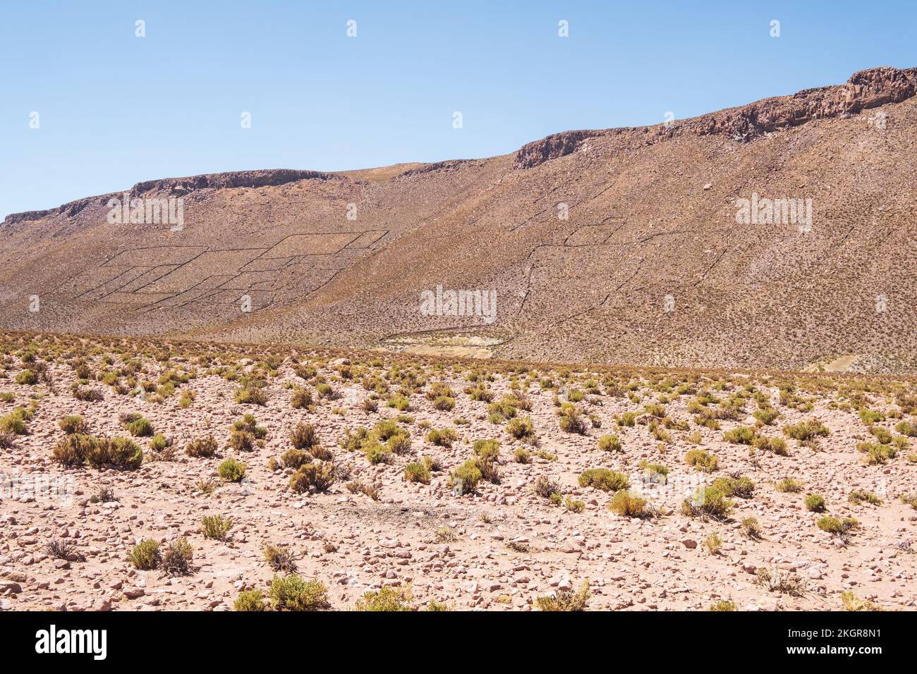 Altiplano Boliviano or High Plains in Nor Lipez Province, Potosi ...