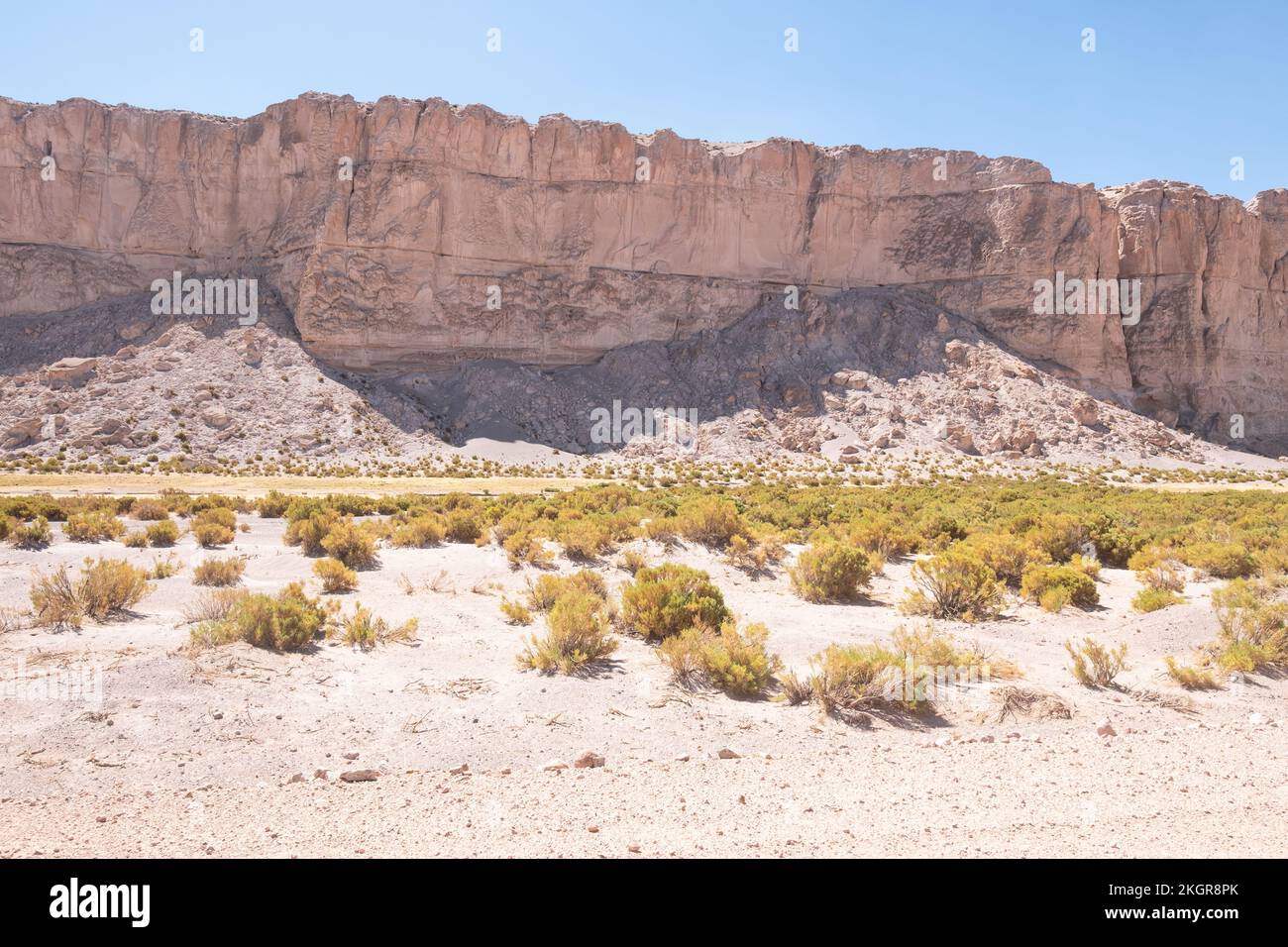 Altiplano Boliviano or High Plains in Nor Lipez Province, Potosi ...