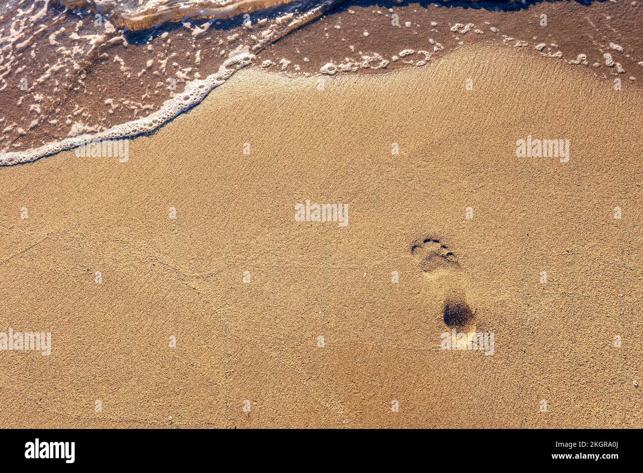 Single footprint on beach sand Stock Photo - Alamy