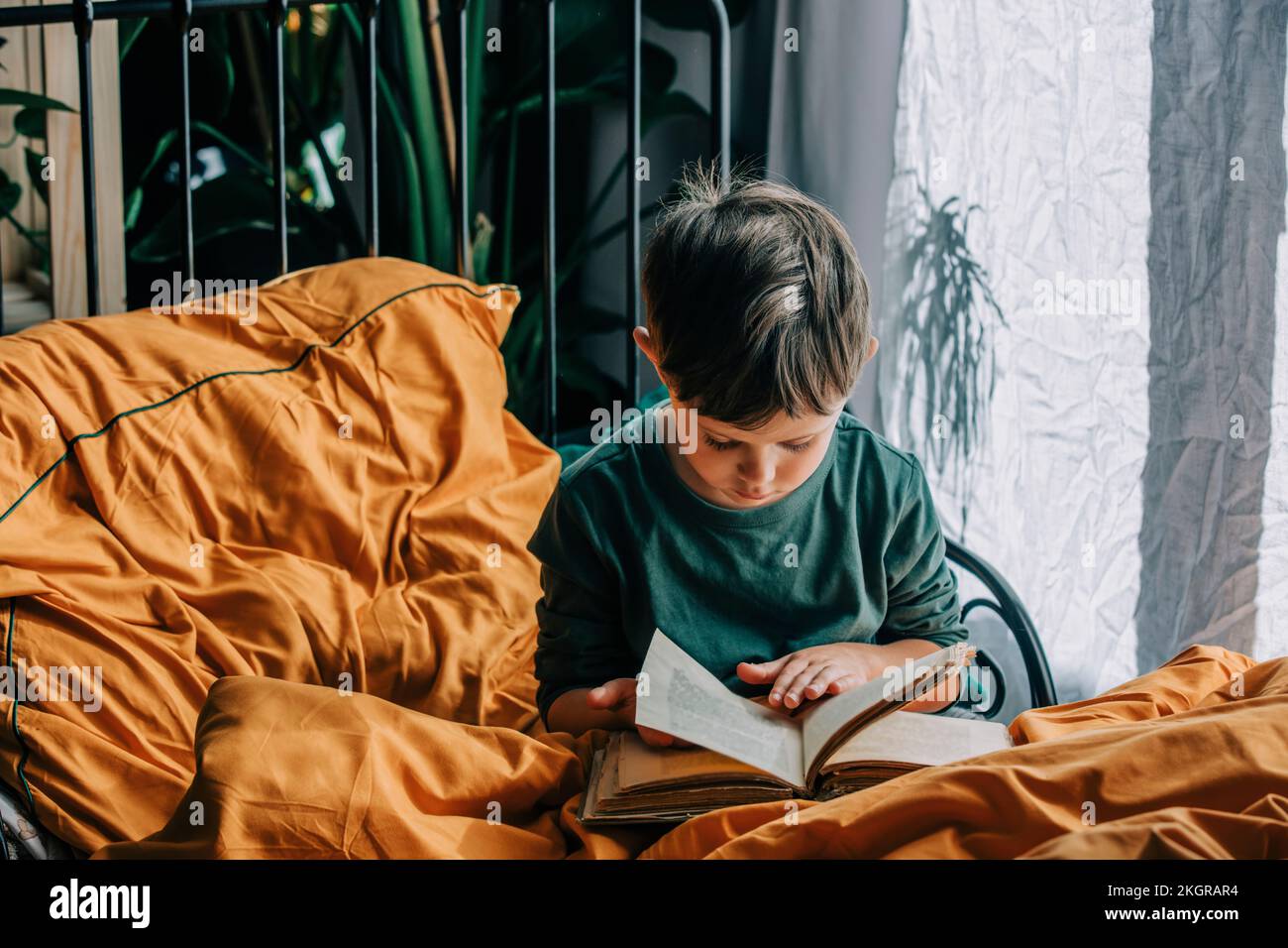 Cute boy reading book on bed at home Stock Photo - Alamy