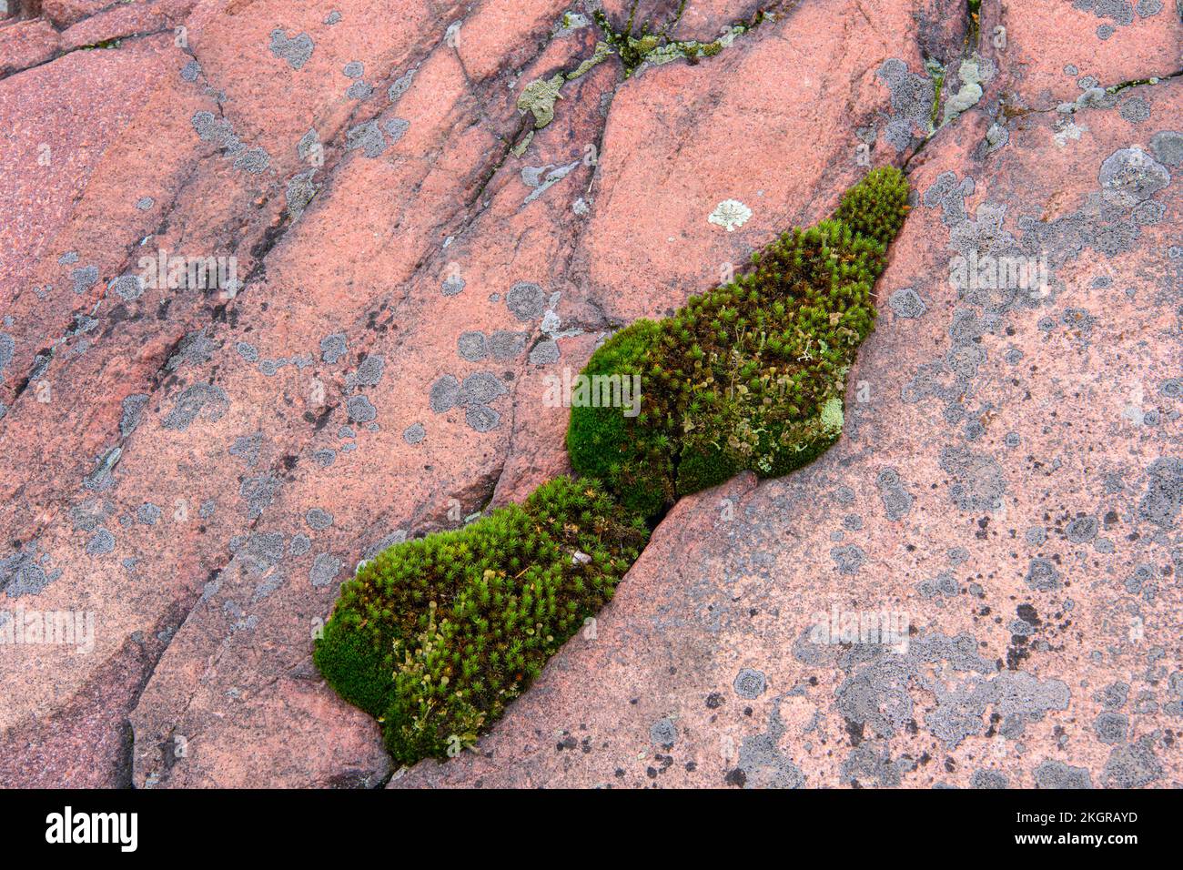 Pink granite landscape hi-res stock photography and images - Alamy