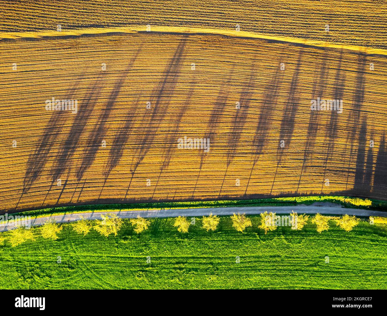 Trees casting shadows valley hi-res stock photography and images - Alamy
