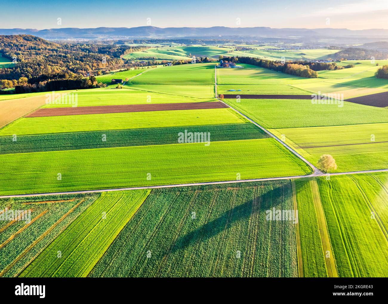 Germany, Baden-Wurttemberg, Drone view of green autumn fields in ...