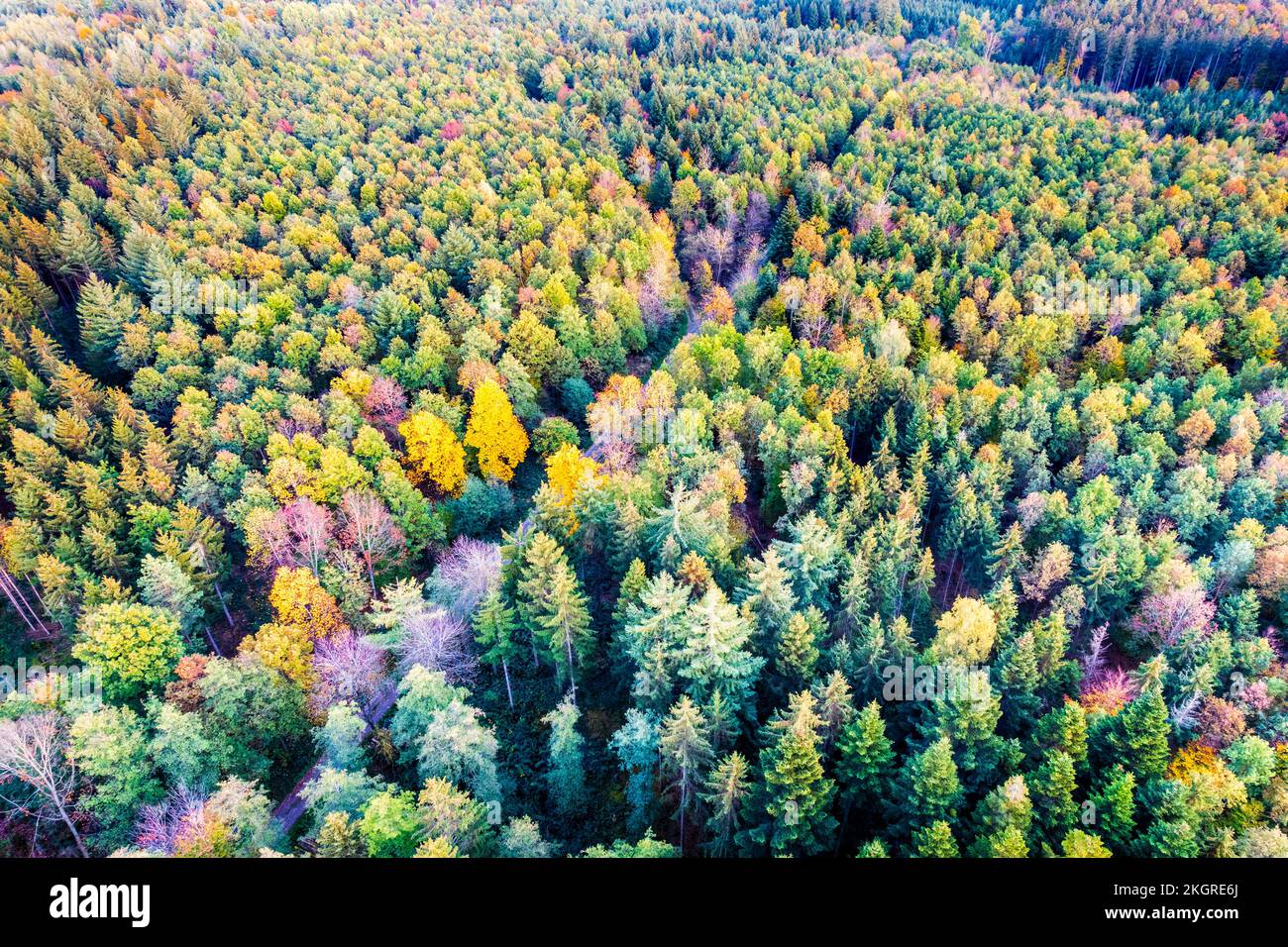 Drone image swabian forest hi-res stock photography and images - Alamy