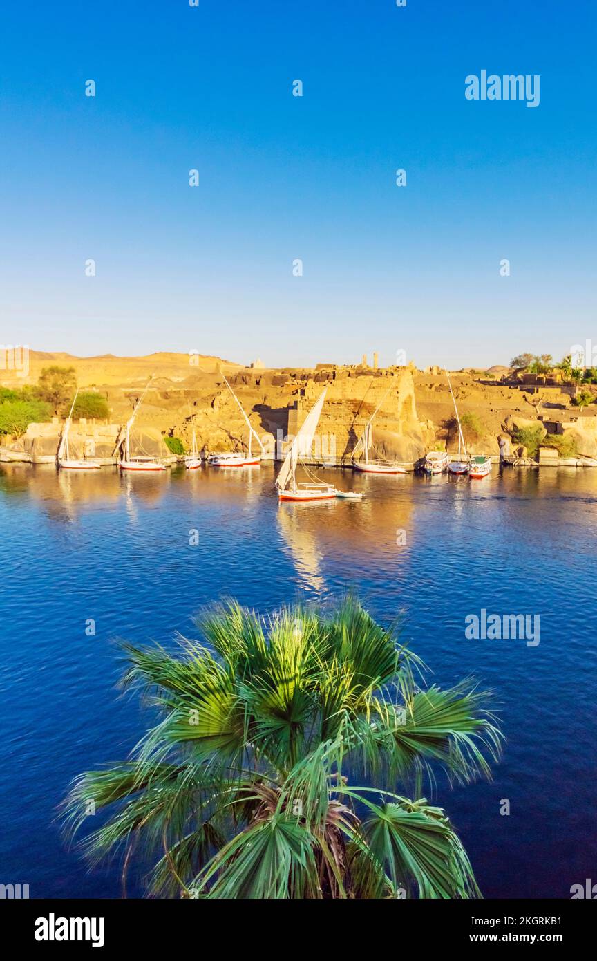 Egypt, Aswan Governorate, Aswan, Sailboats floating on bank of Nile ...