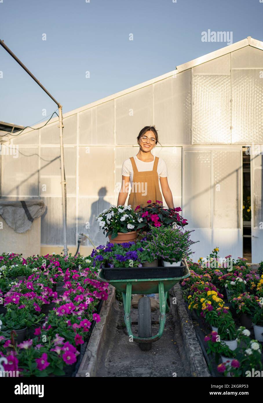 Happy gardener with wheelbarrow and flowering plants standing in ...