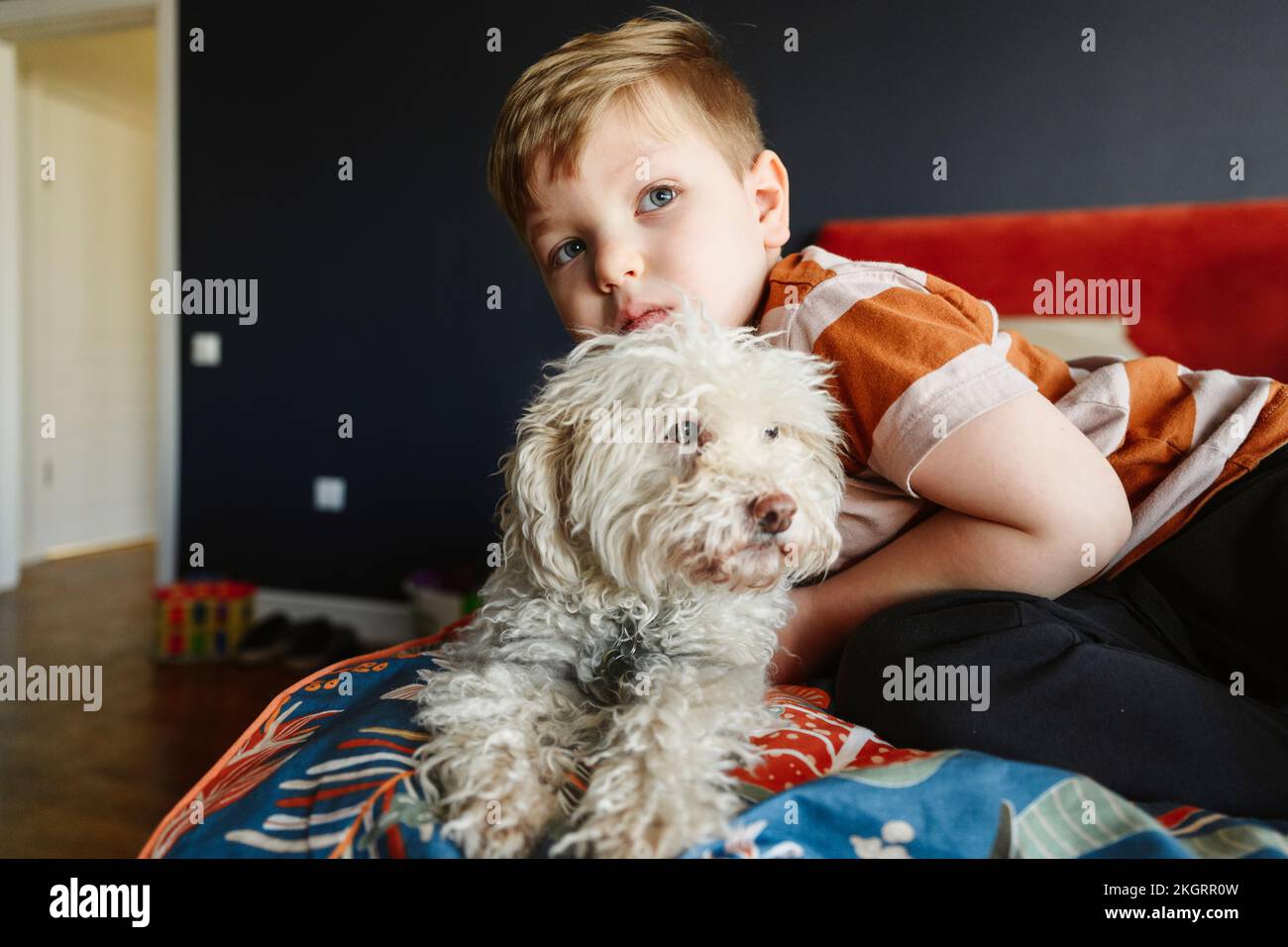 Cute boy dog in hi-res stock photography and images - Alamy