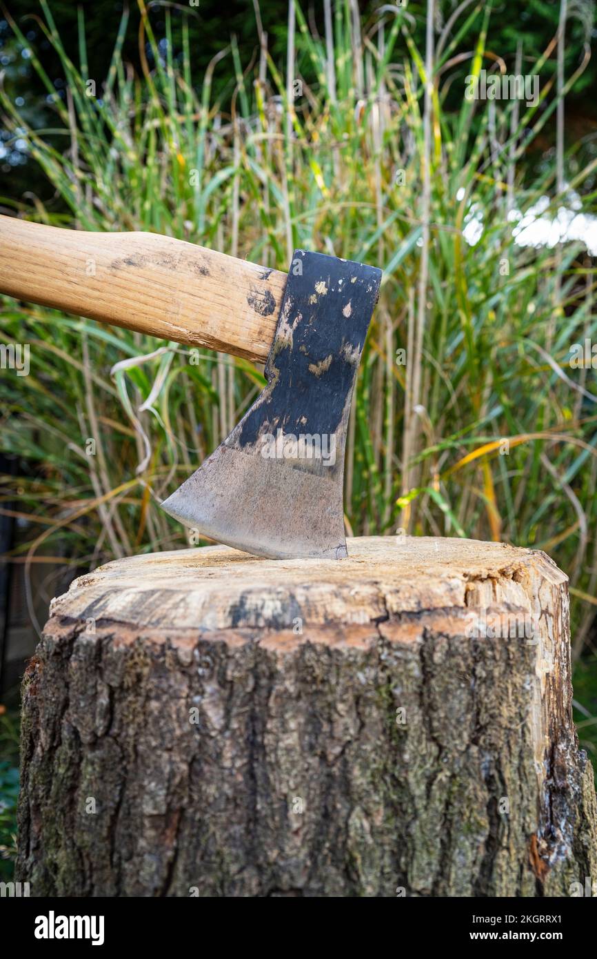 Axe in tree stump hi-res stock photography and images - Alamy