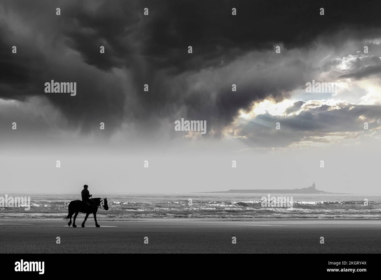 Person riding a horse along a british beach Stock Photo - Alamy