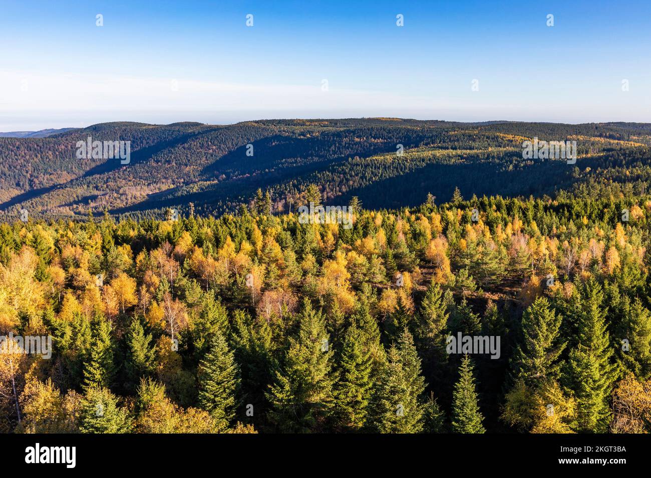 Spruce woodland black forest range hi-res stock photography and images ...