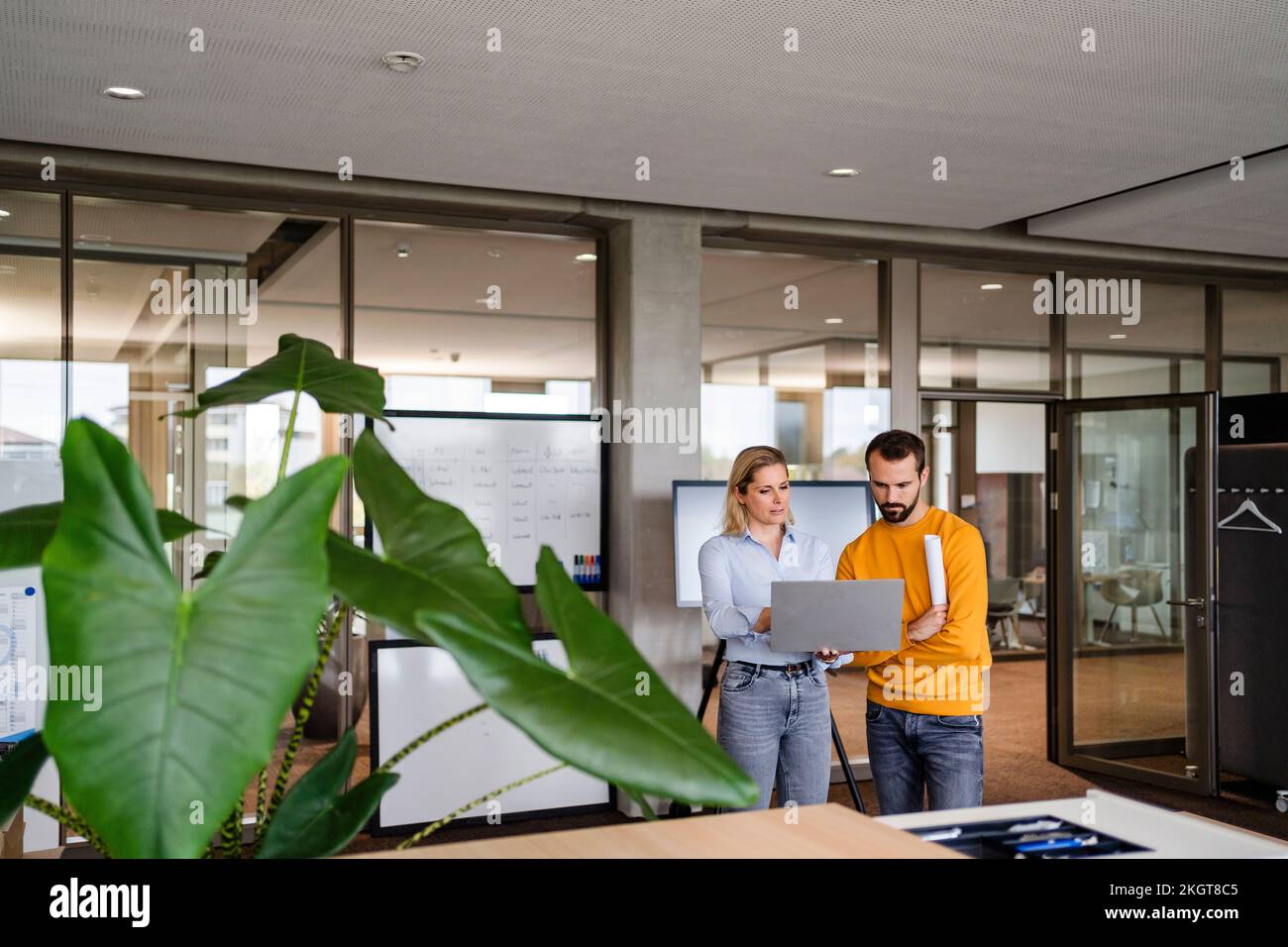 Business colleagues sharing laptop at workplace Stock Photo - Alamy