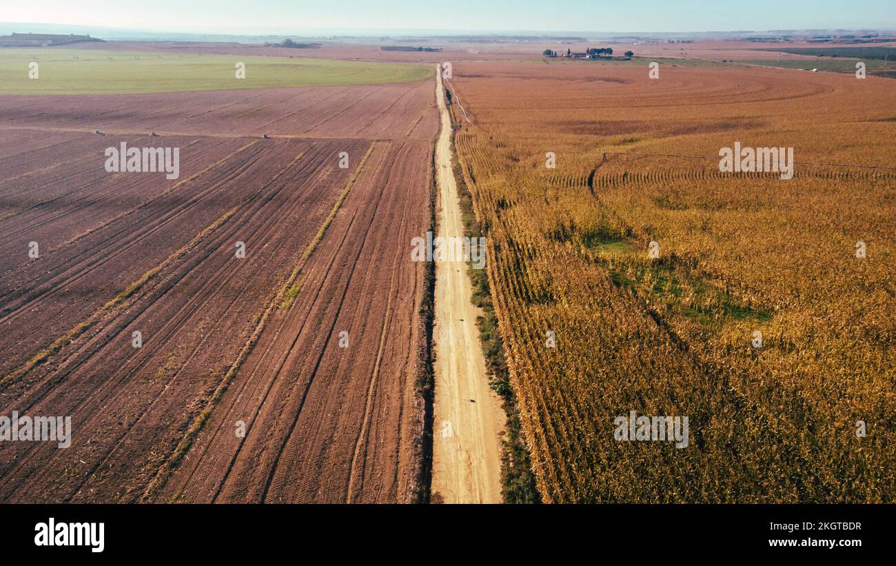 Aerial view dirt road stretching dry corn fields hi-res stock ...