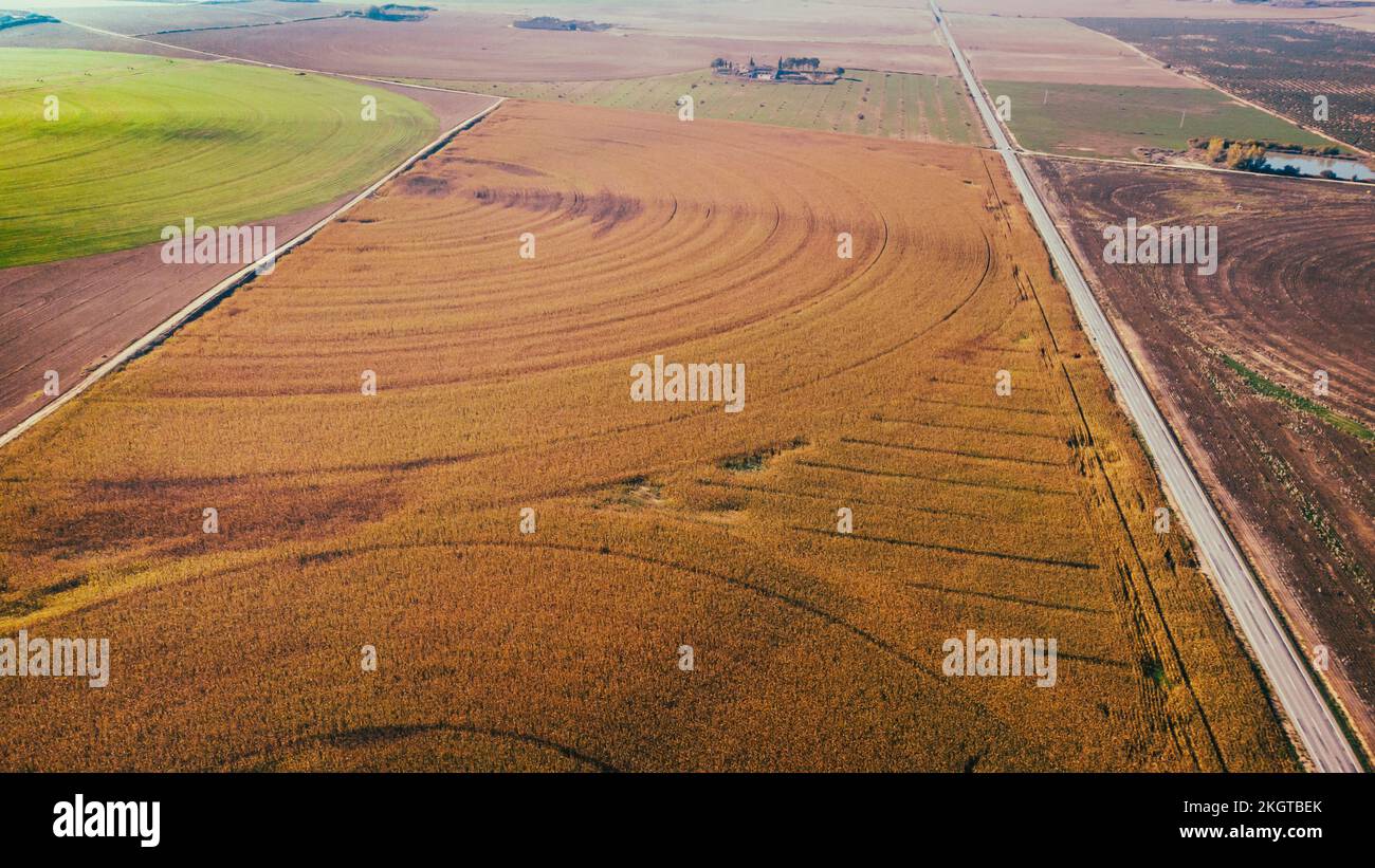 Aerial view dry corn field hi-res stock photography and images - Alamy