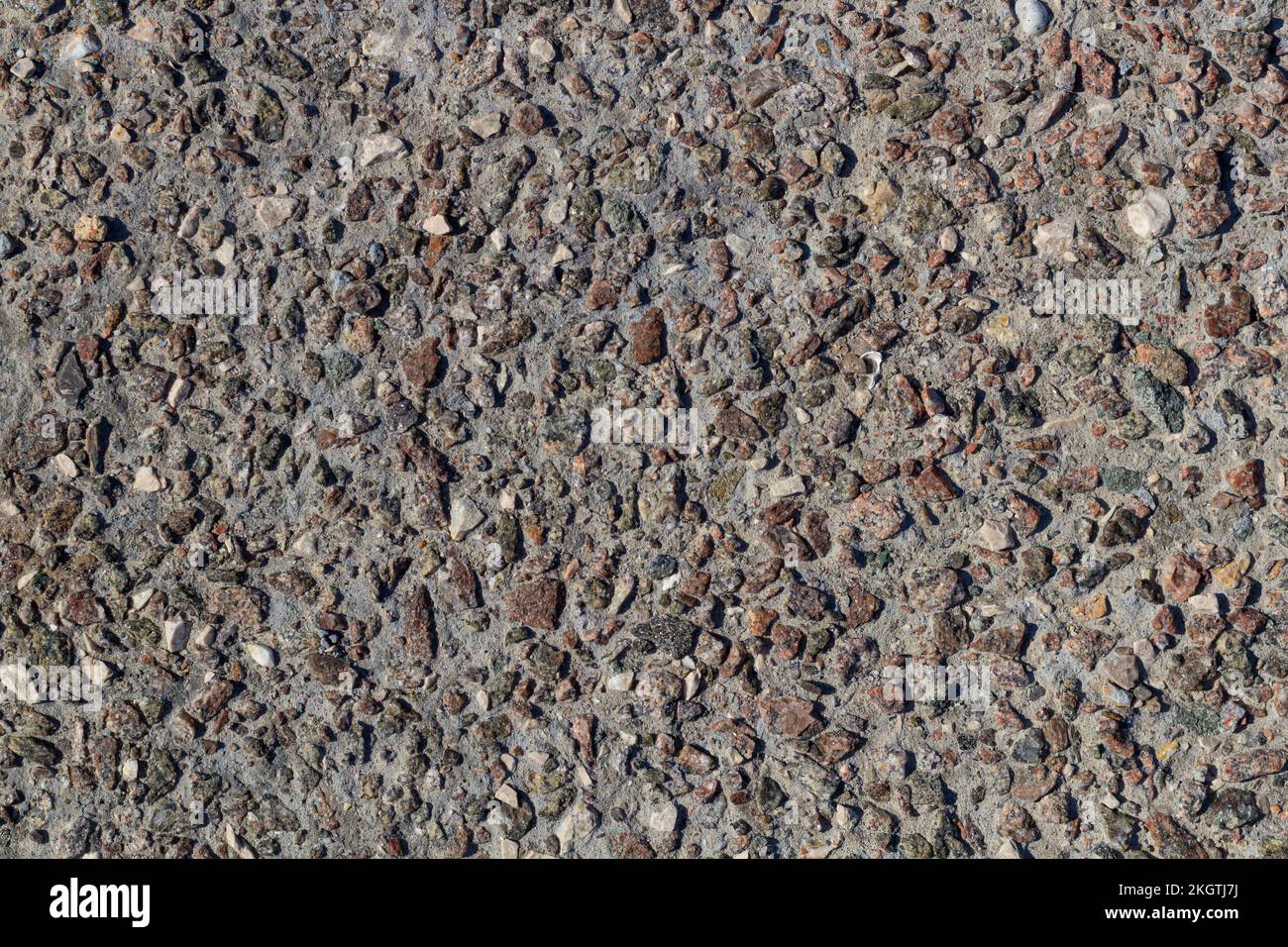 stone wall texture. particles of shells stick out of the stone, the ...