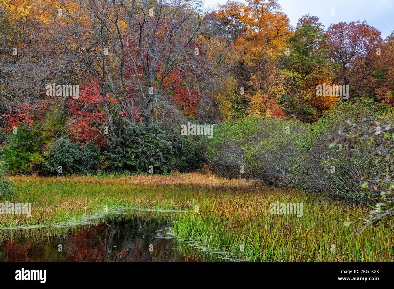 Autumn outdoors travel hi-res stock photography and images - Alamy