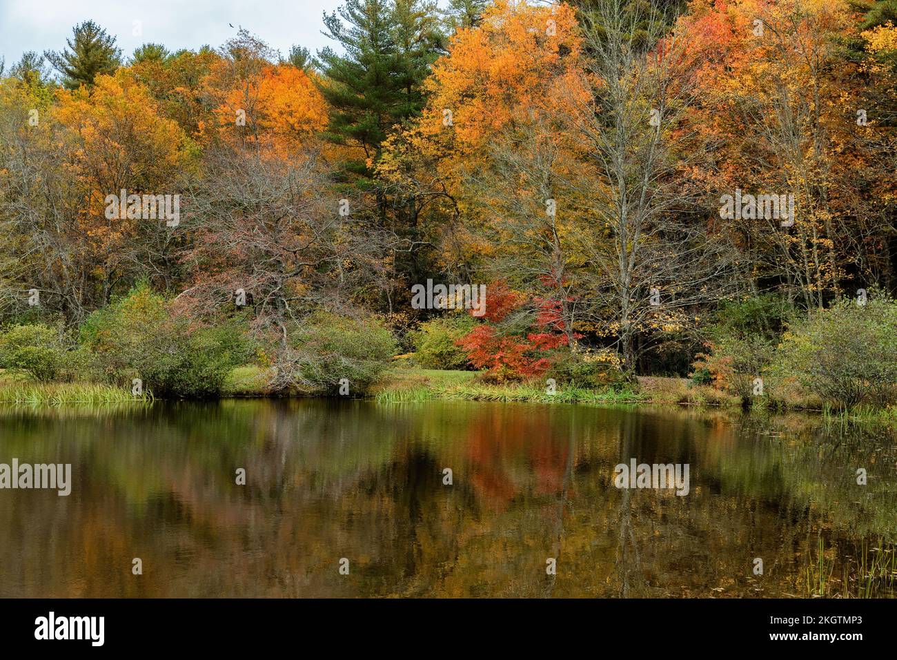 Landscape autumn scene at Little Glade Mill Pond along the Blue Ridge ...