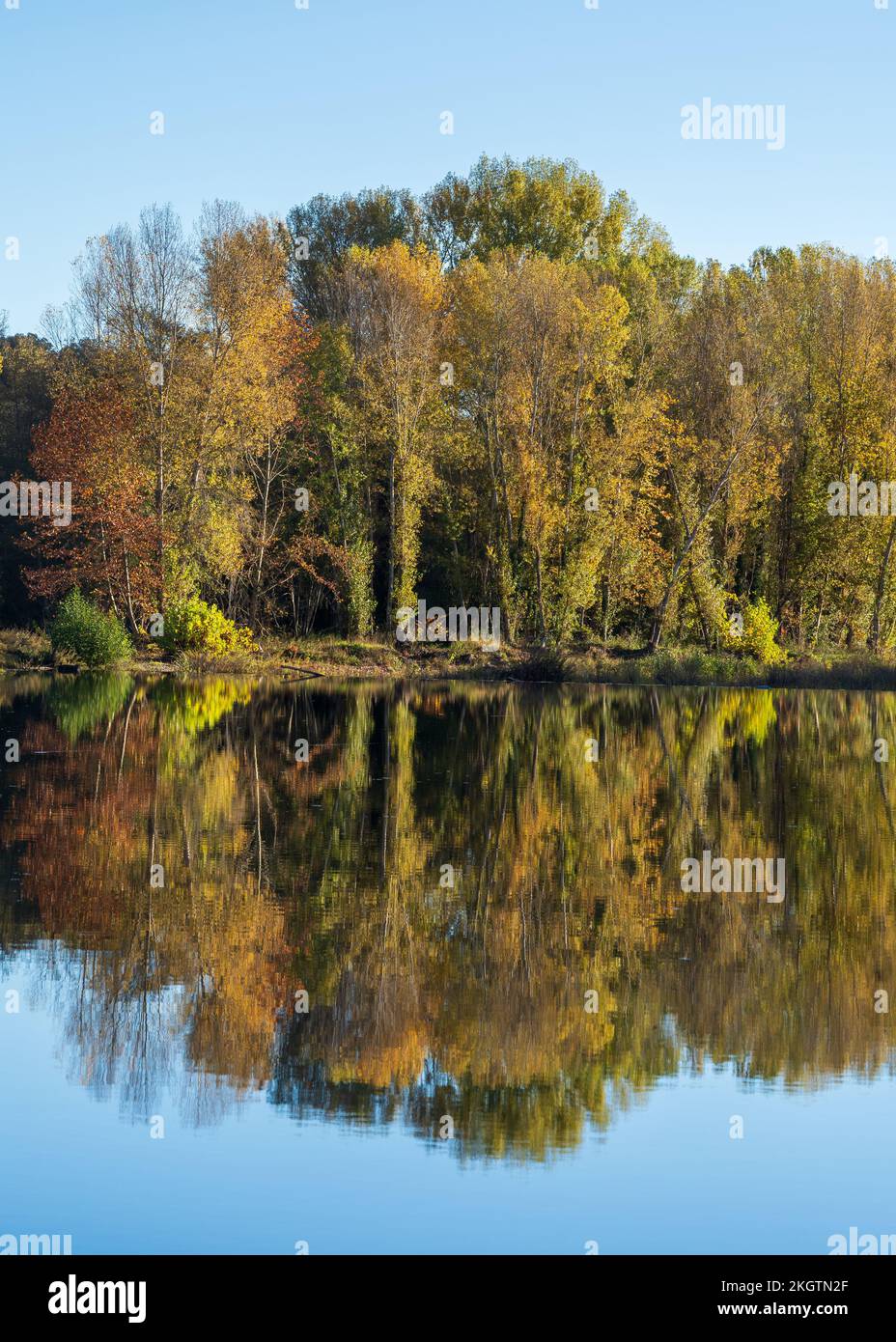 Scenic autumn landscape of trees with colorful fall foliage reflection ...