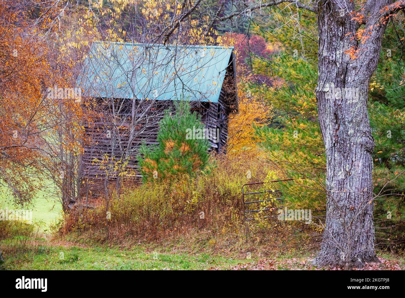 An out building surrounded in autumn colors in a rural area along the ...